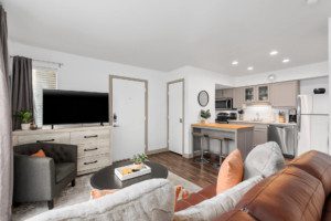 Terms and Conditions - Flex Term Rental